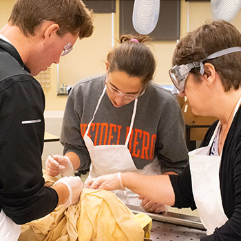 Cadaver Lab | Heidelberg University